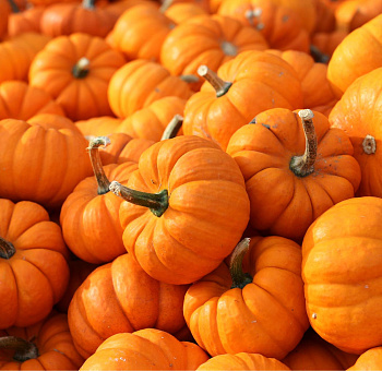 Коньяк Aivazovsky Armenian Brandy 7 Y.O. (gift box with 2 glasses) 0.5 ...